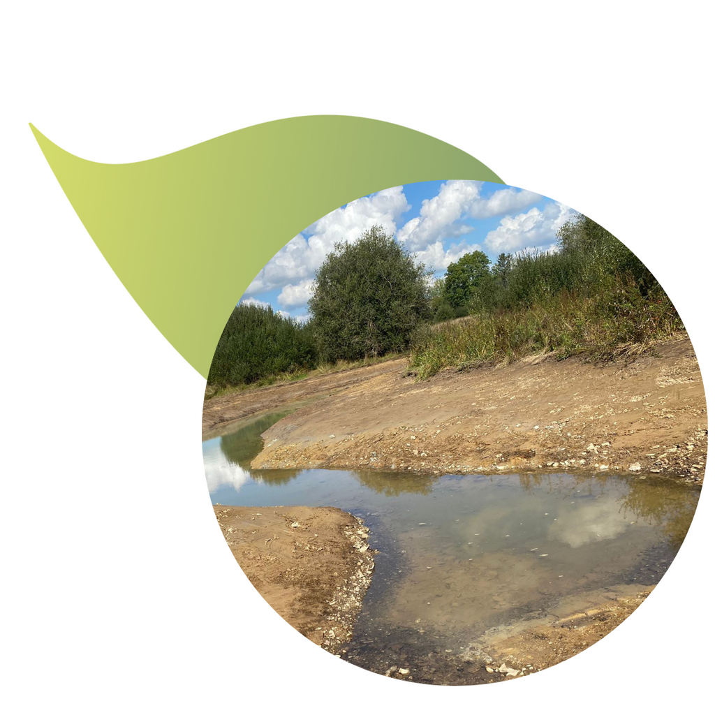 Natuurgebied-Sur-Pierreux-Fontenalle